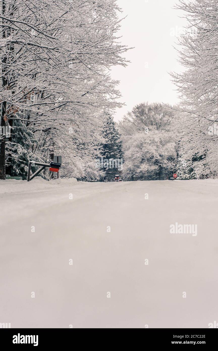 Beautiful shot of the amazing scenery of the snow-covered countryside ...