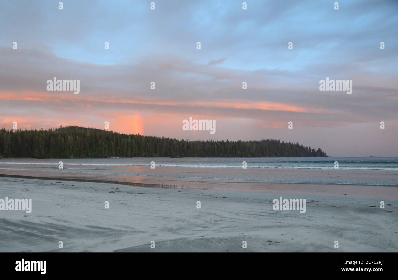 Landscape shot of a beach during sunset with a forest visible in the ...