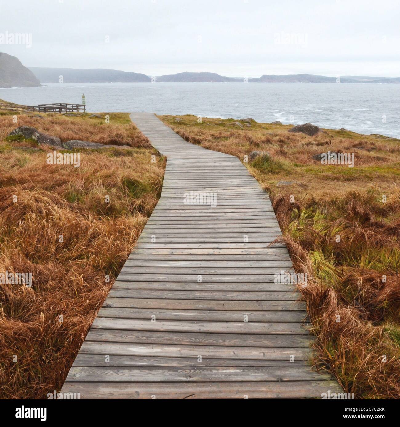 Log Leading Into Water High Resolution Stock Photography and Images - Alamy