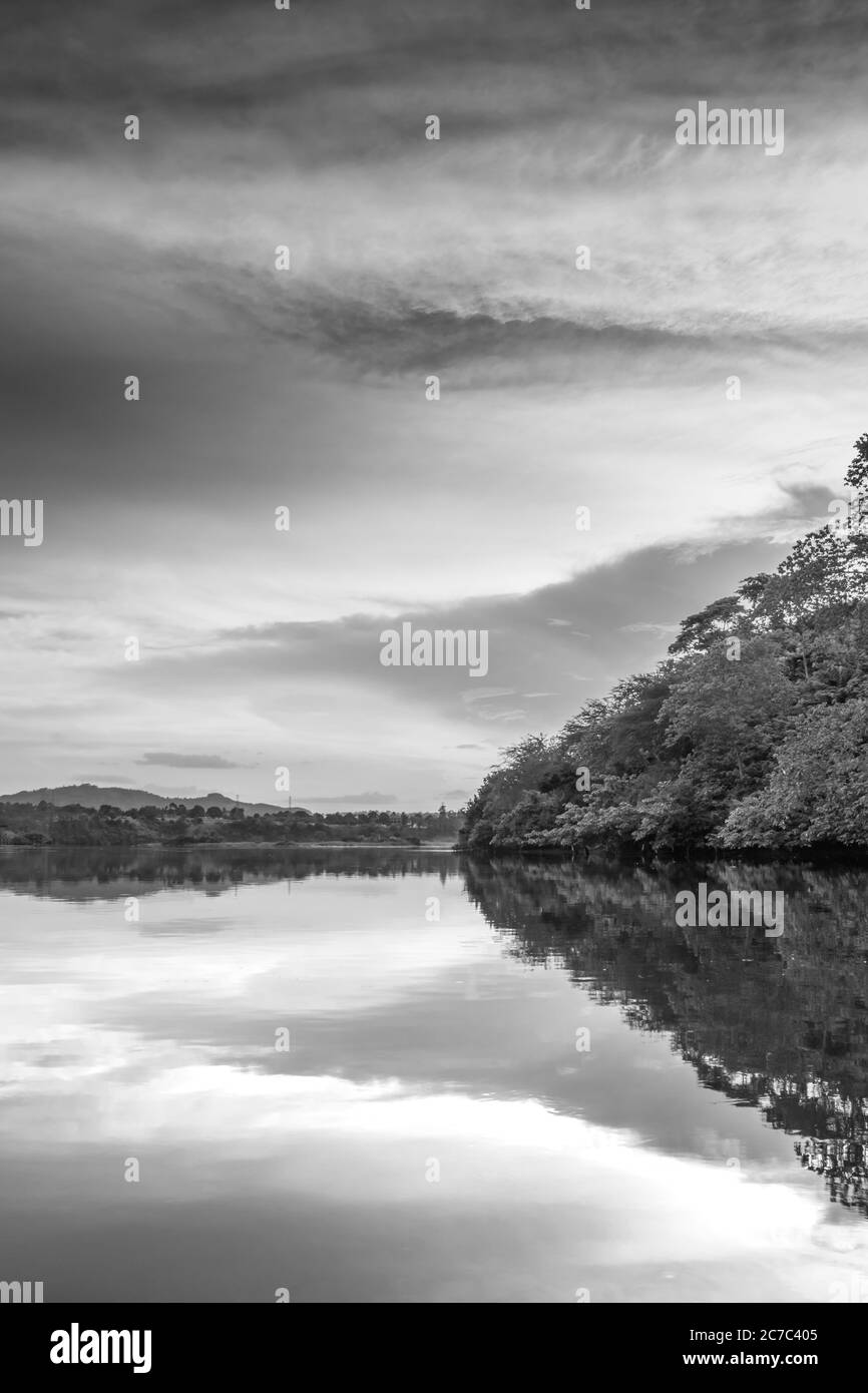Side view on orange Black and White Stock Photos & Images - Alamy