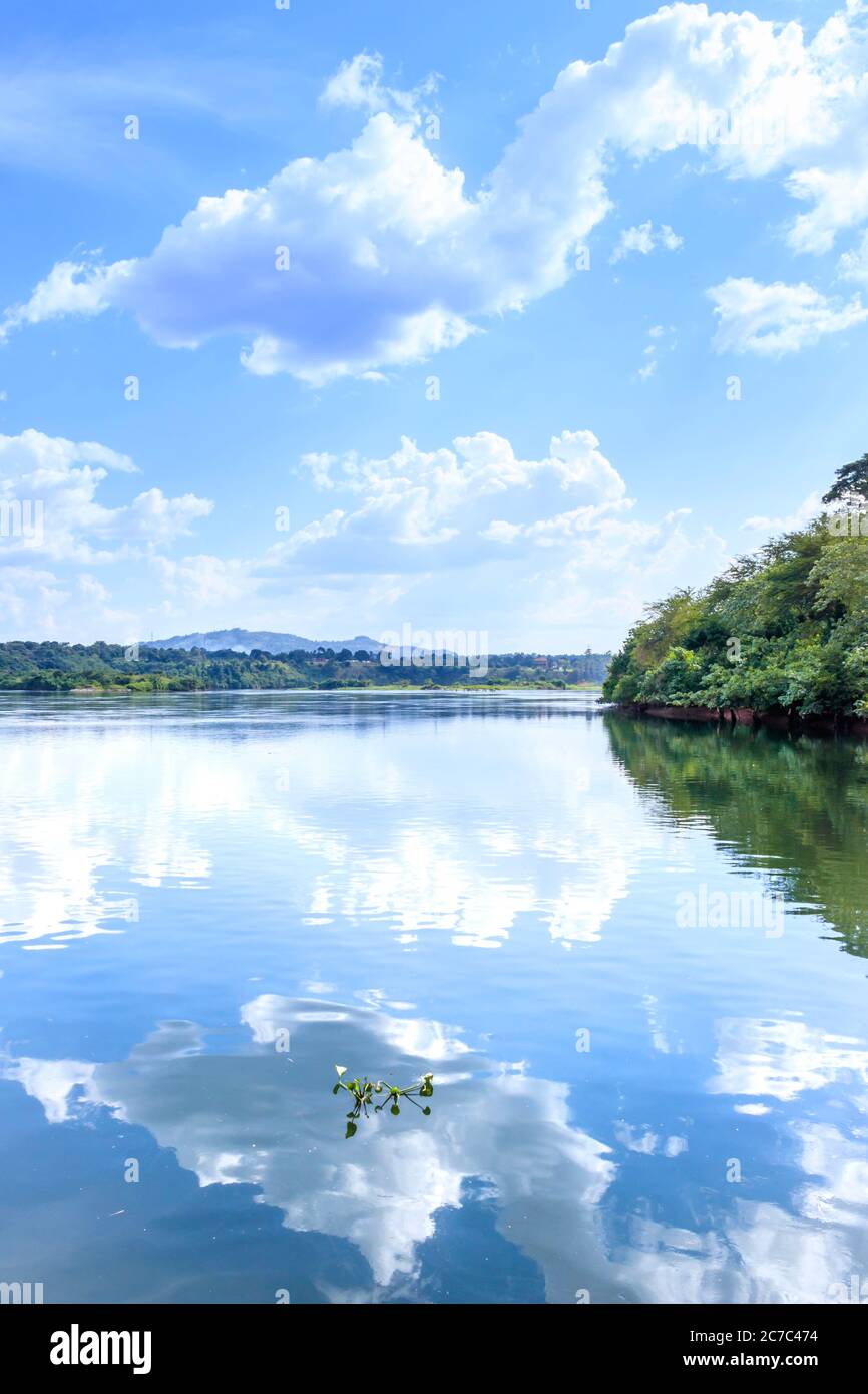 Sunset view of the Victoria Nile river, with trees growing and the ...