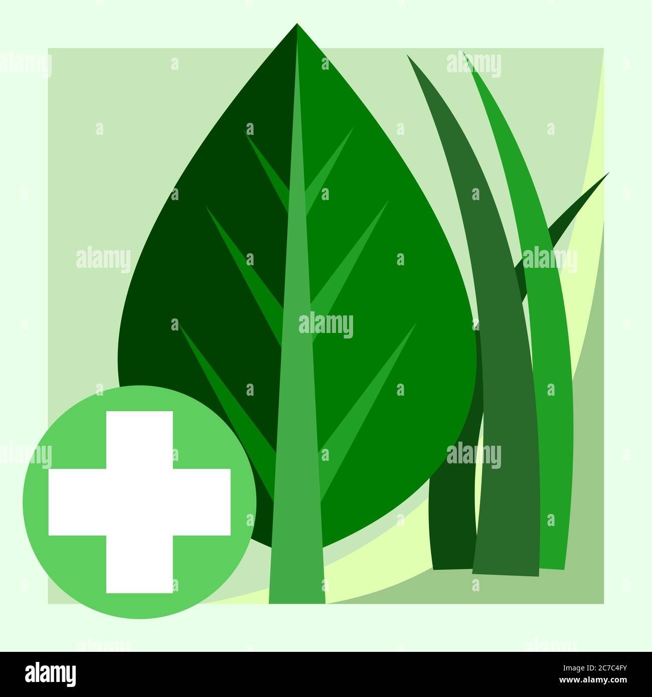 Medicinal herbs. Vector. Natural traditional medicine. Banner, graphic ...