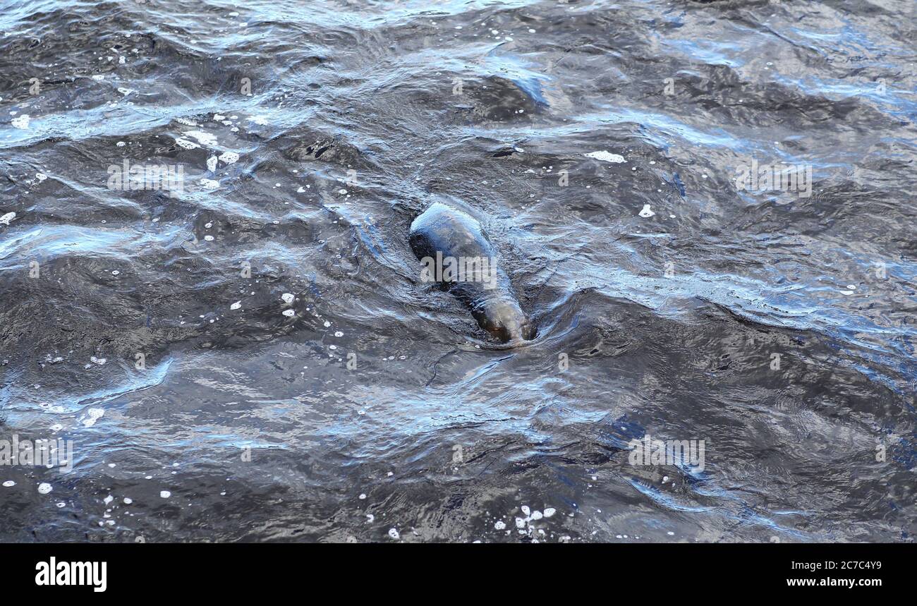 Mouth of river tees hi-res stock photography and images - Alamy
