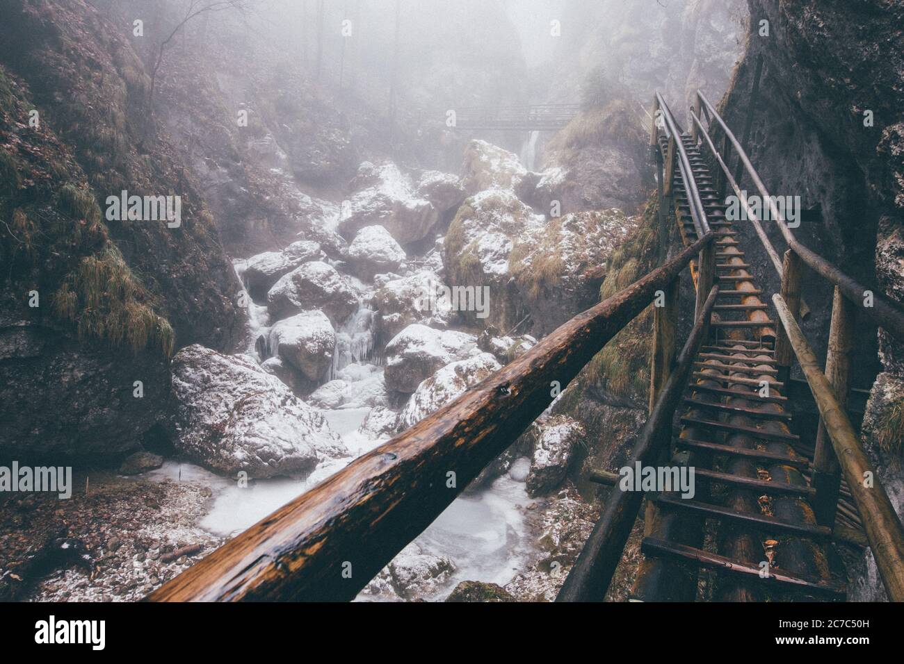 Horizontal closeup of a wooden pathway near a cliff with the forest ...