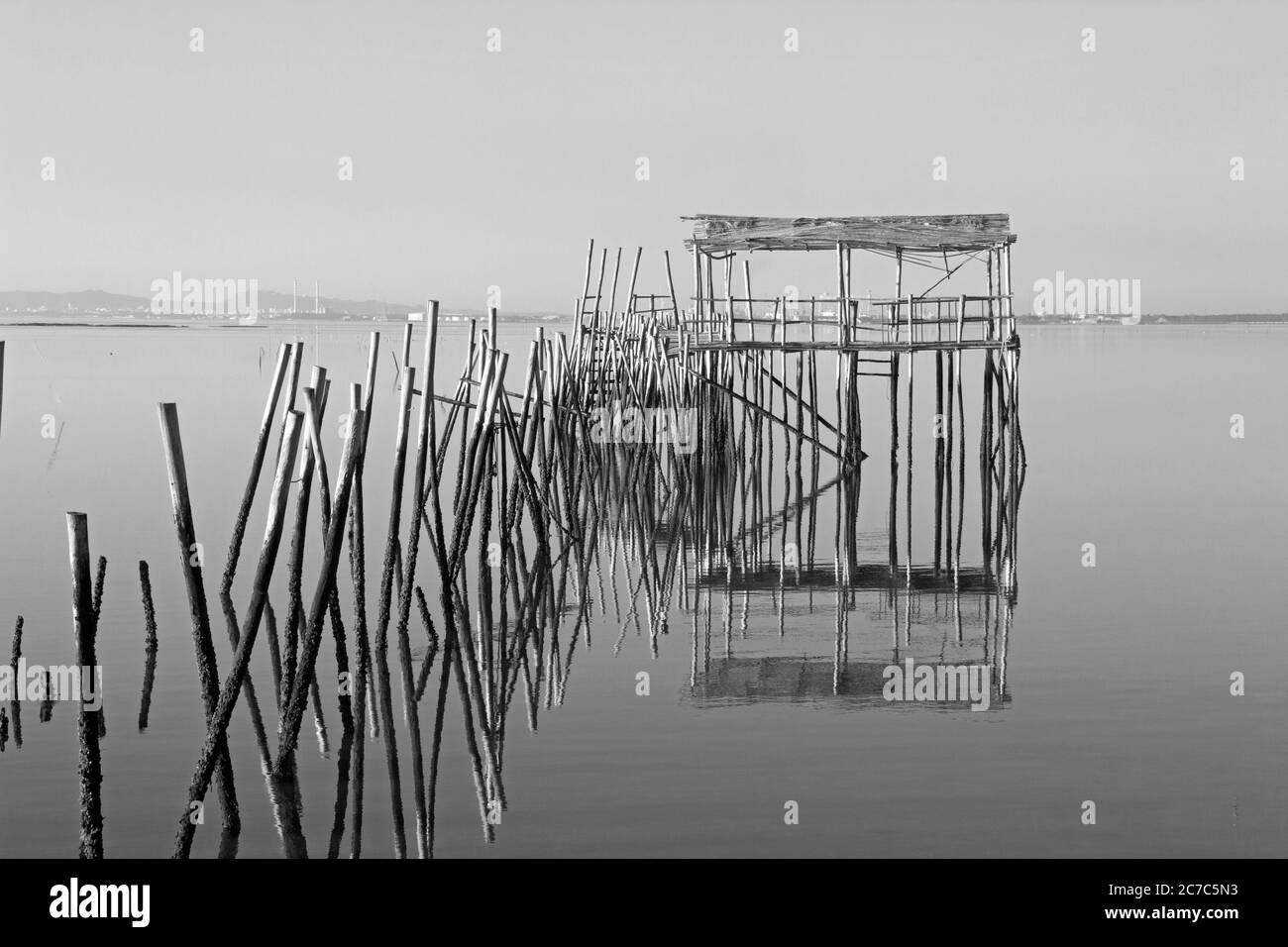 Grayscale shot of branches on the body of water near wooden dock roof ...