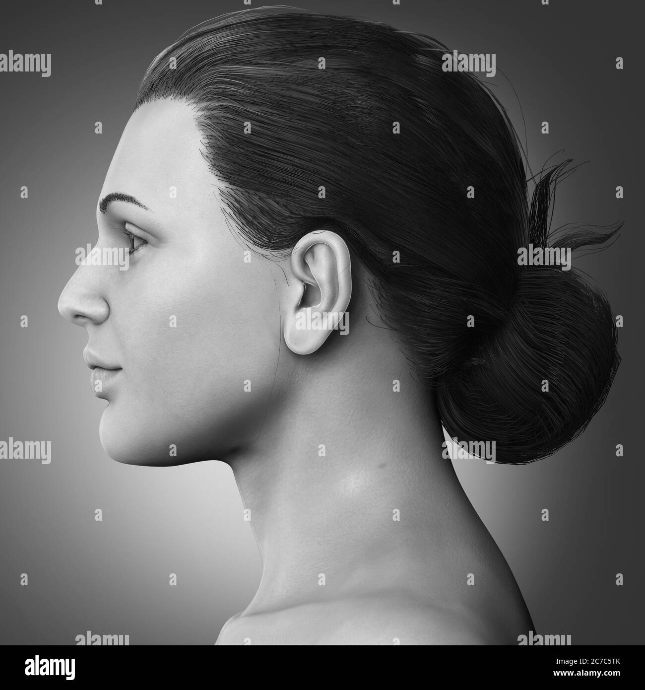 Female ventral view Black and White Stock Photos & Images - Alamy