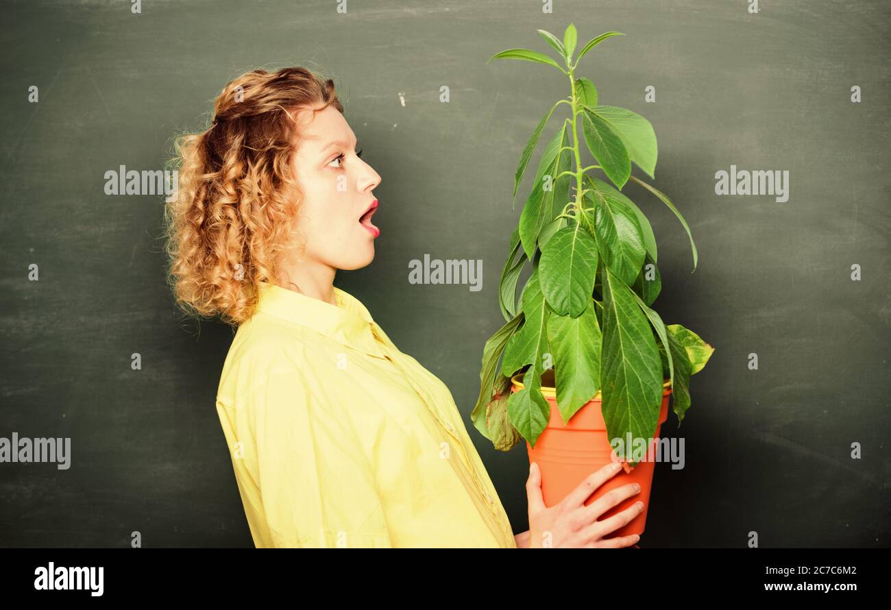 Growing plants in school classroom. surprised student girl with plant ...
