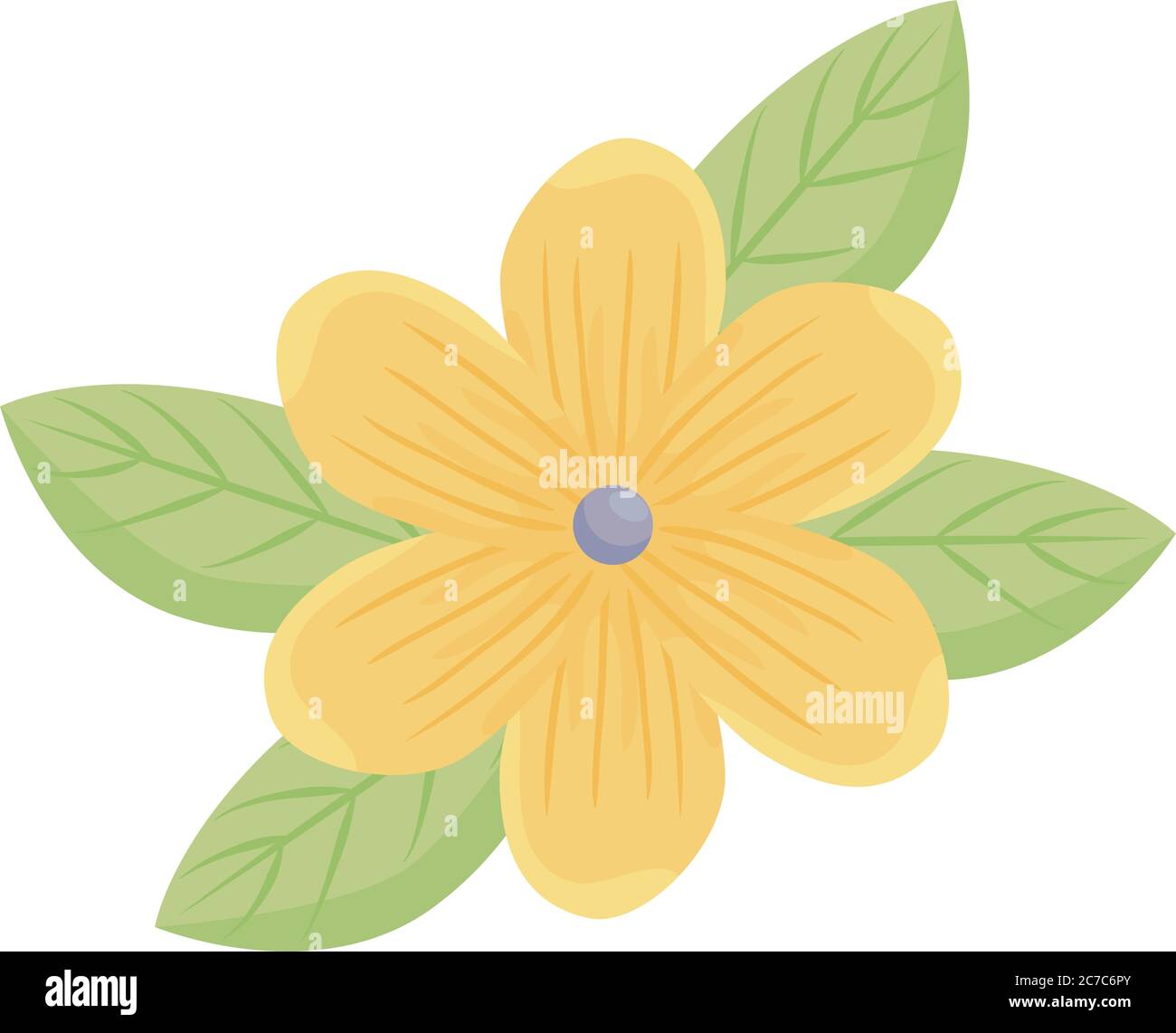 yellow flower with leaves vector design Stock Vector Image & Art - Alamy