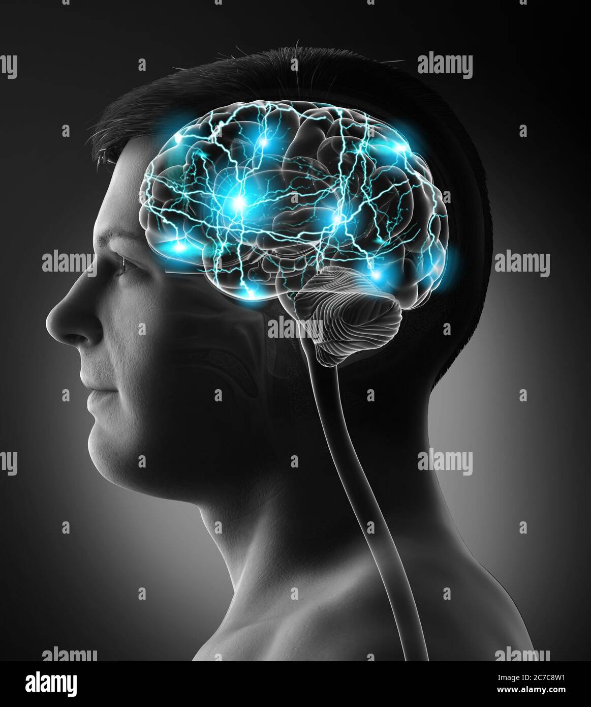 3d rendered, medically accurate illustration of a male active brain ...