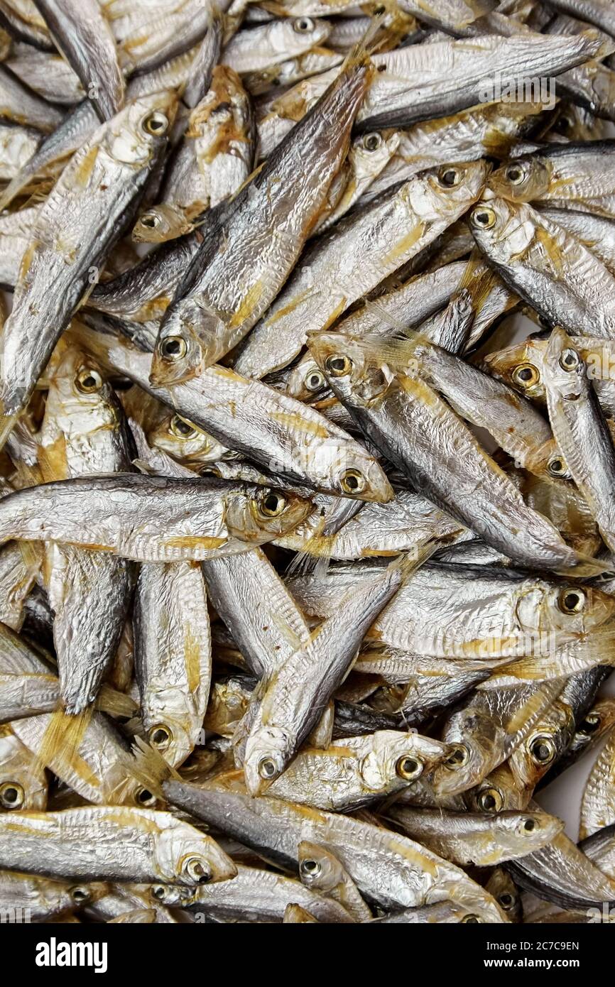 Sardelle hi-res stock photography and images - Alamy