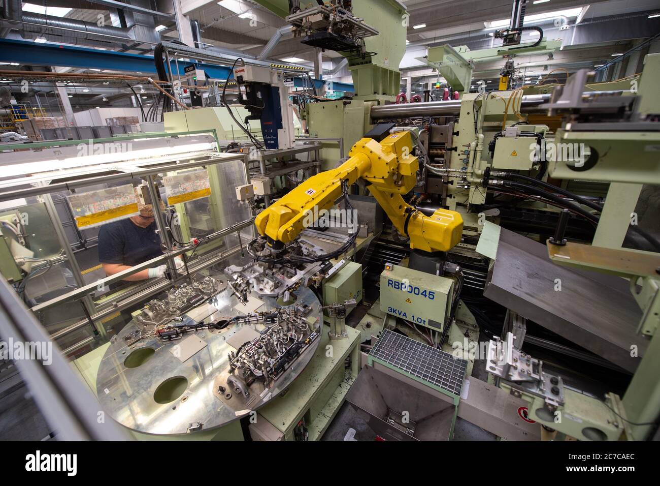 Plant grew over hi-res stock photography and images - Alamy