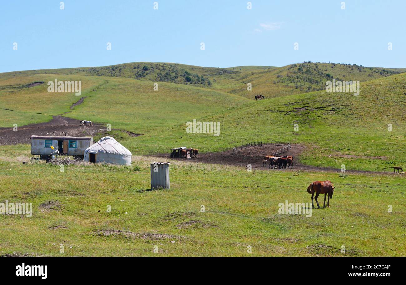 Traditional yurt in the wide landscape of Central Asia Stock Photo - Alamy