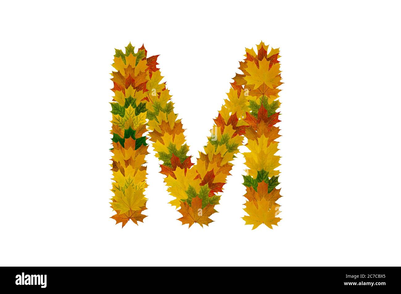 Letter M from autumn maple leaves. Alphabet from green, yellow and ...