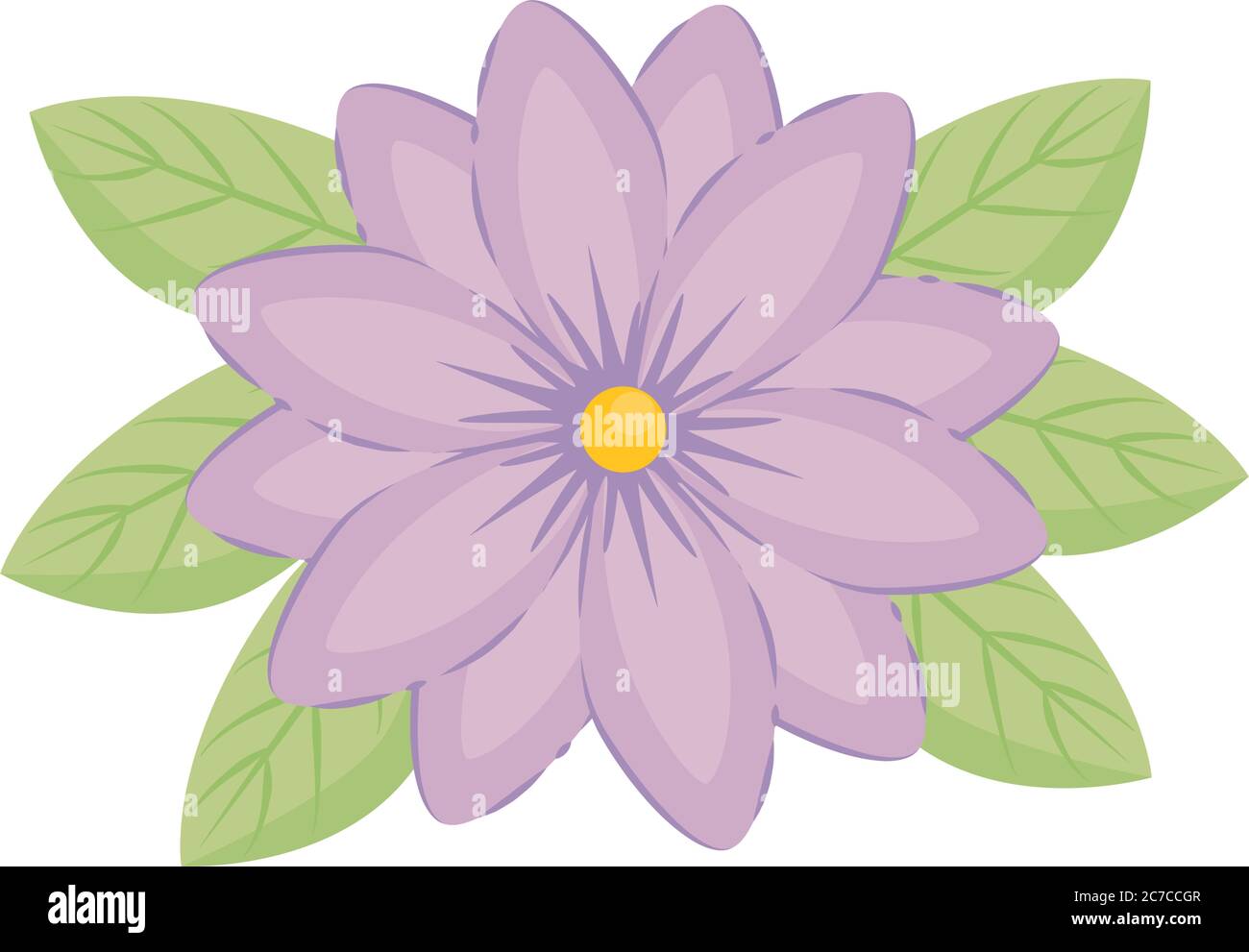 purple flower with leaves vector design Stock Vector Image & Art - Alamy
