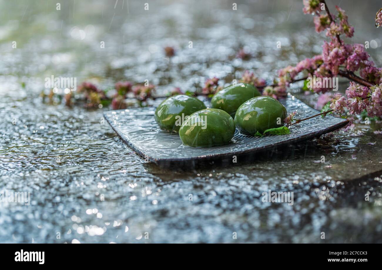 Green and peach blossom in the rain Stock Photo - Alamy