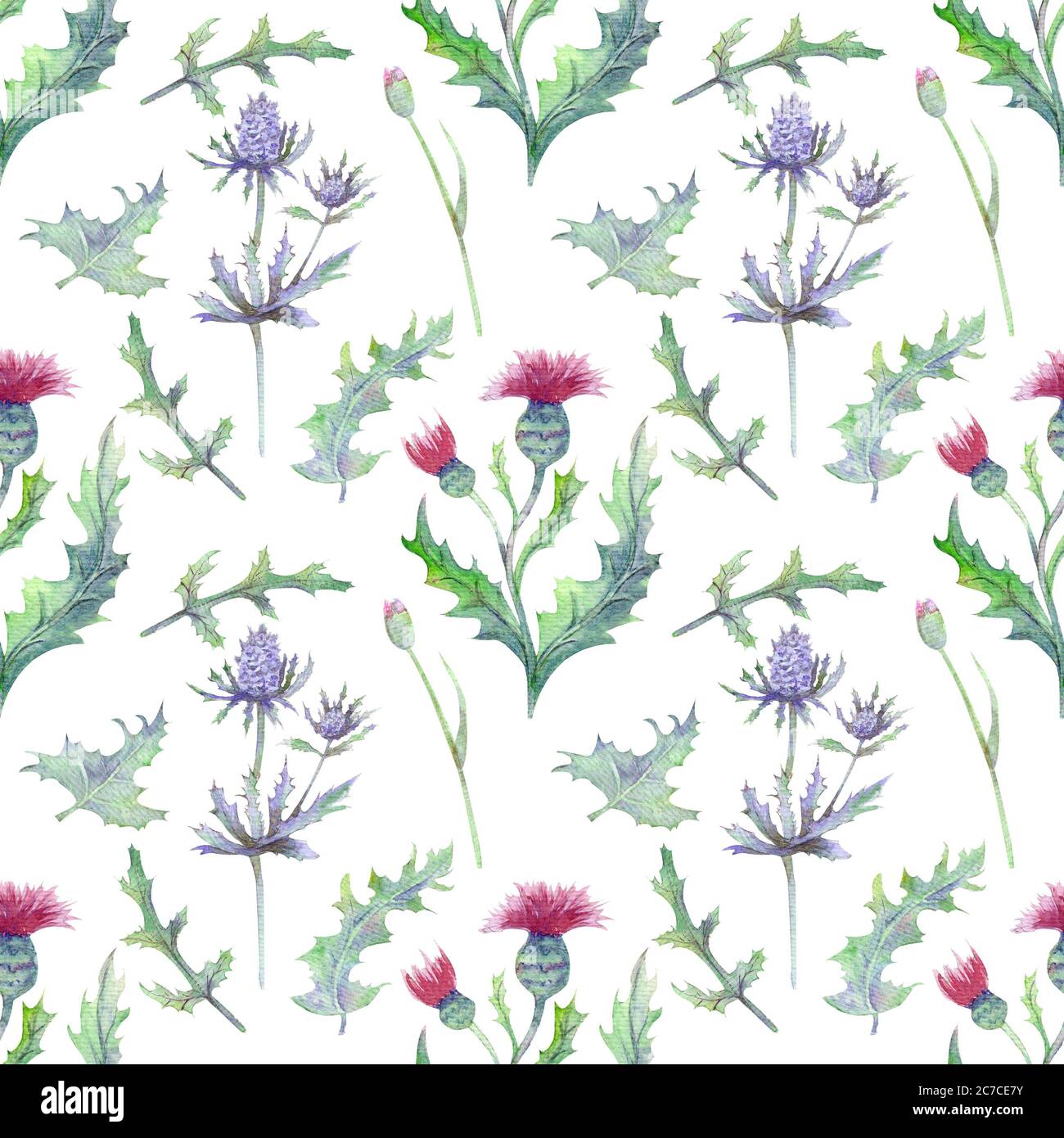 Seamless pattern with spring flowers and leaves. Wildflowers on ...