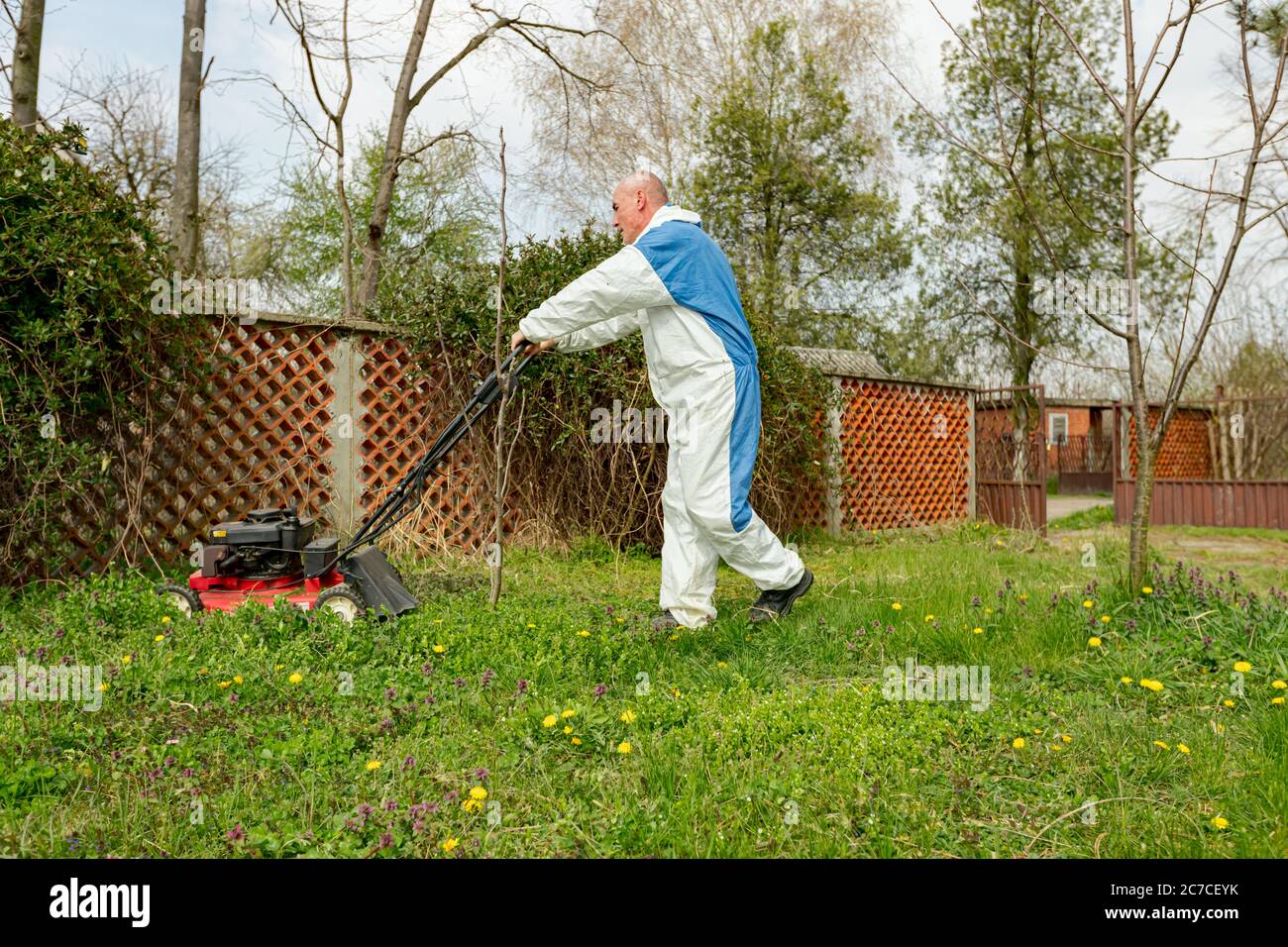 Gardener wearing protective overall is cutting grass in his yard with ...