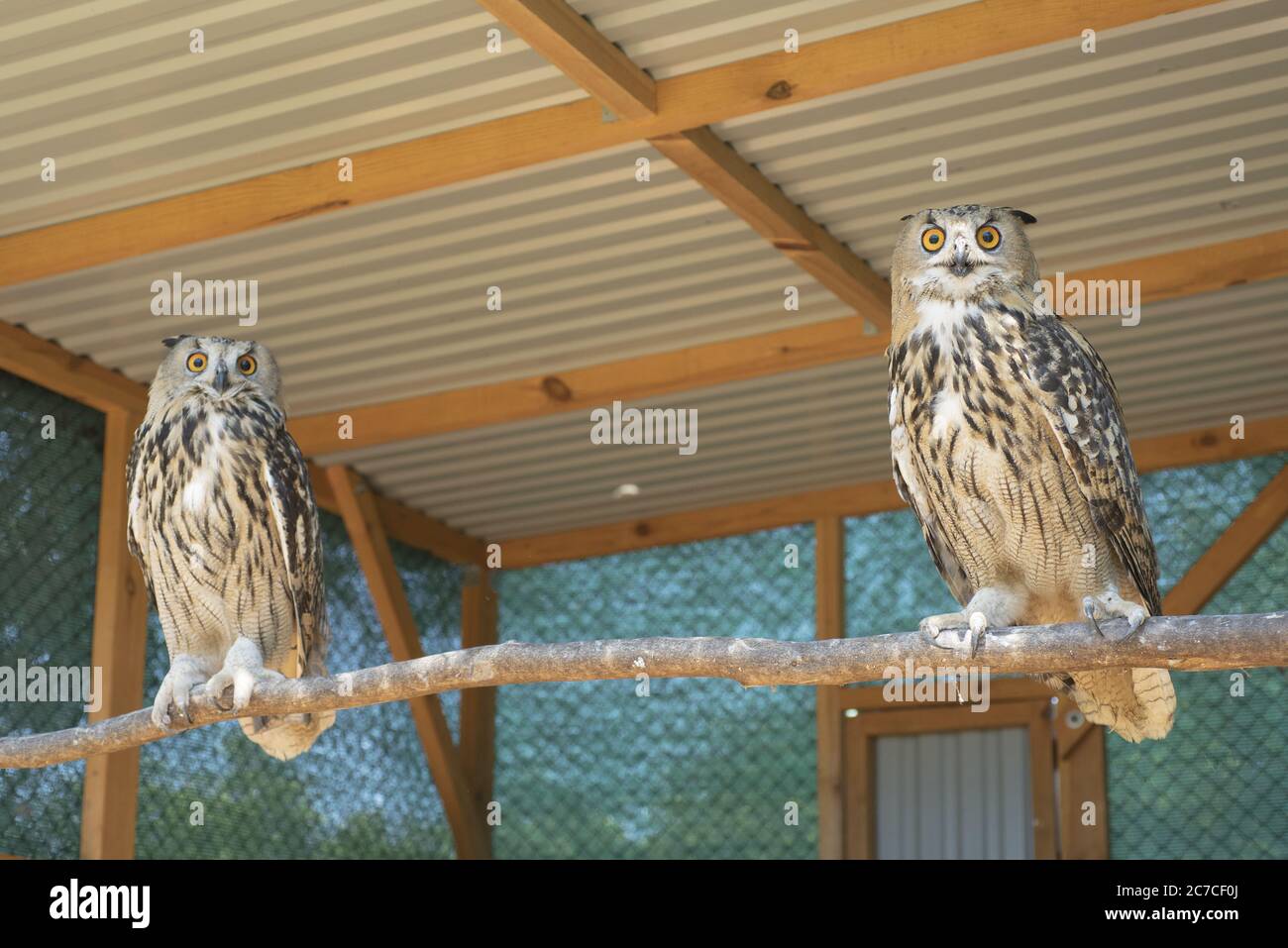 DANUBE DELTA, VYLKOVE, ODESSA OBLAST, UKRAINE - JULE 11, 2020 ...