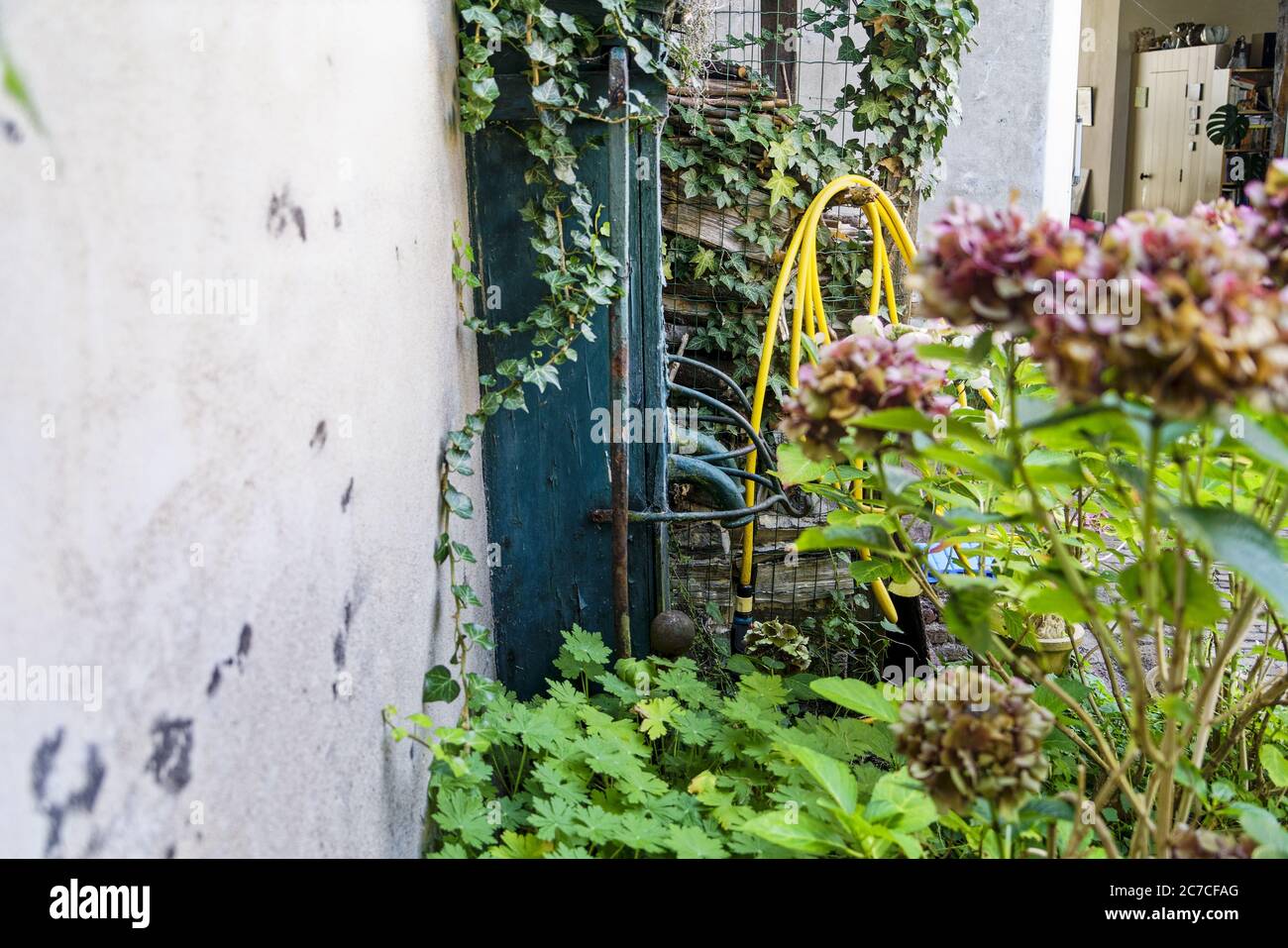 Dutch house garden backyard hi-res stock photography and images - Alamy