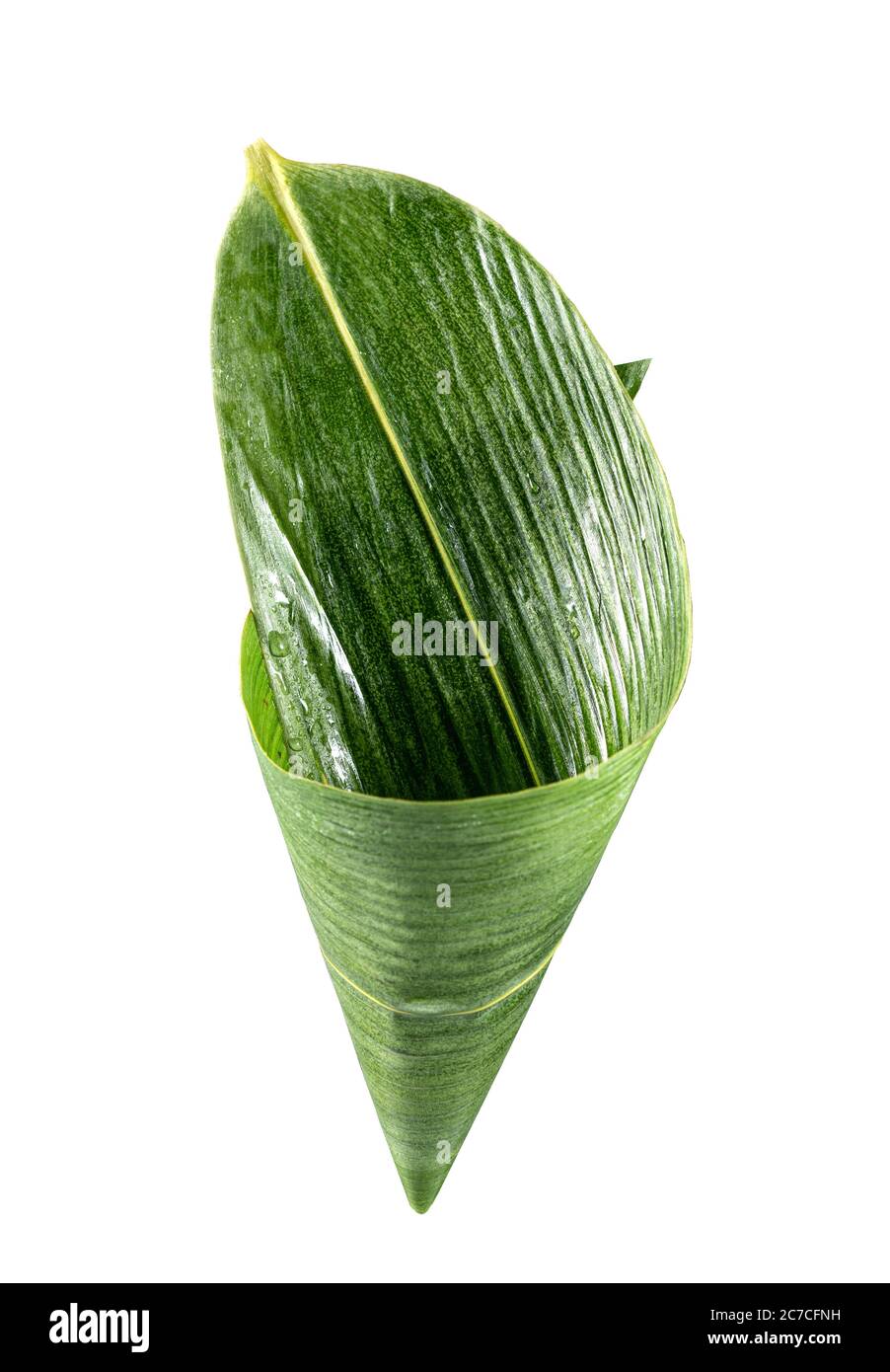 Fresh rice leaves Cut Out Stock Images & Pictures - Alamy