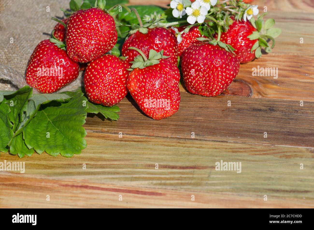Strawberries on wooden table and plantations background. Free space on ...