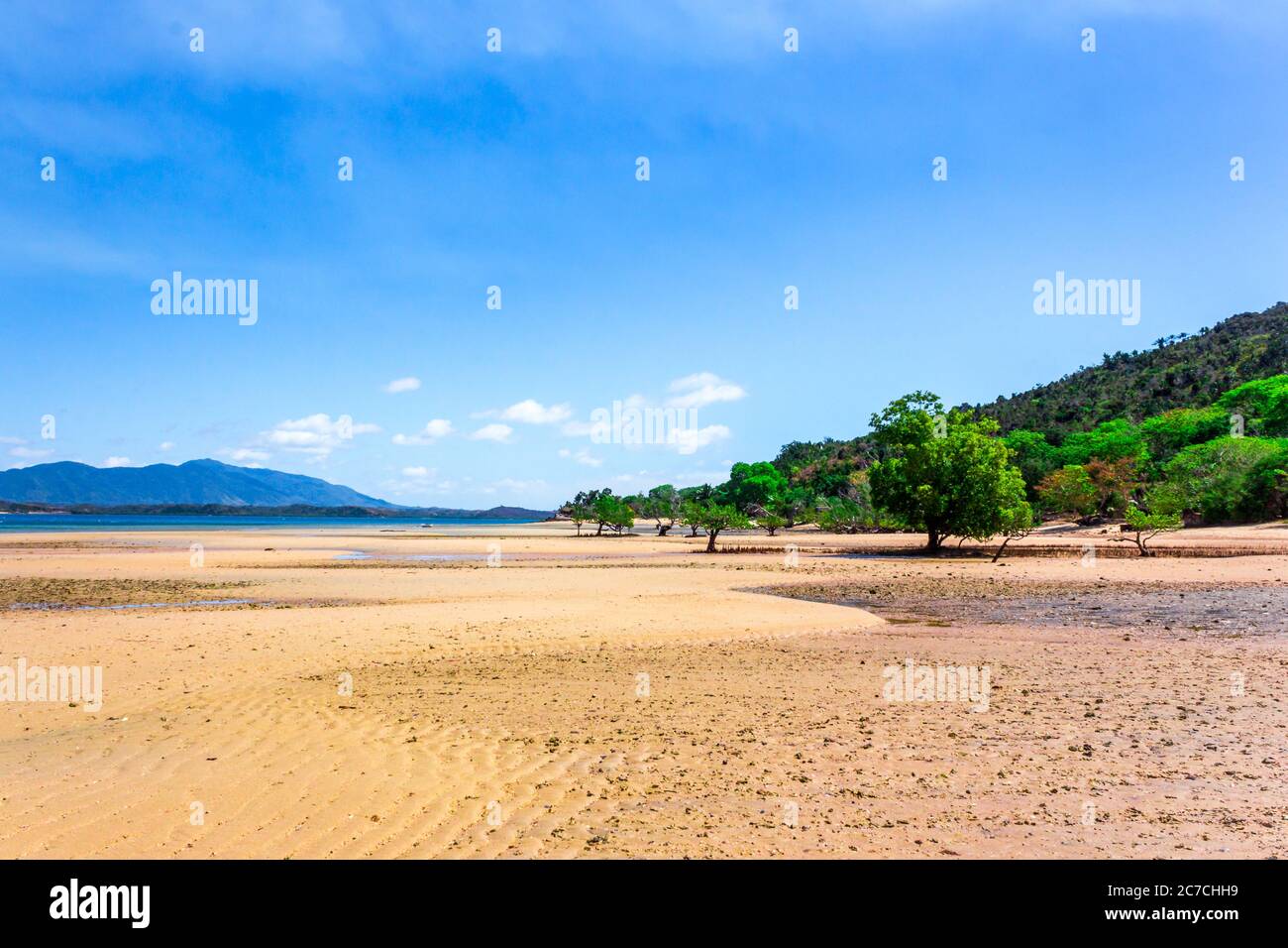 View of a Madagascar Island coastline lined with palm trees and boats ...