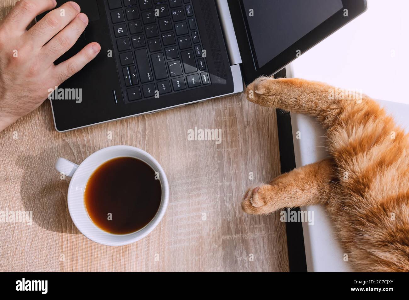 Mans hand working on laptop hi-res stock photography and images - Alamy