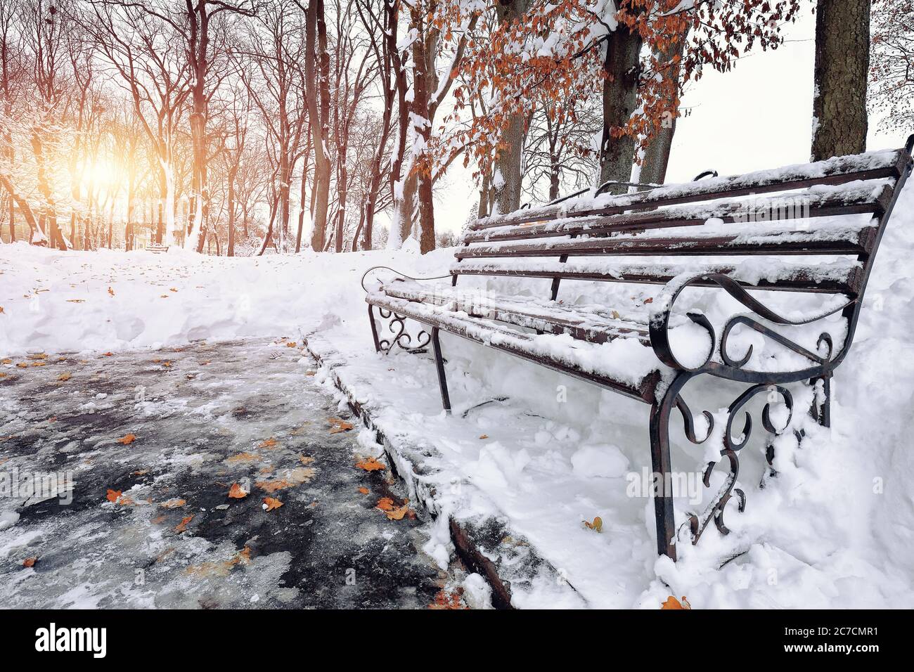 Park bench and trees covered by heavy snow. Lots of snow. Sunset Stock ...