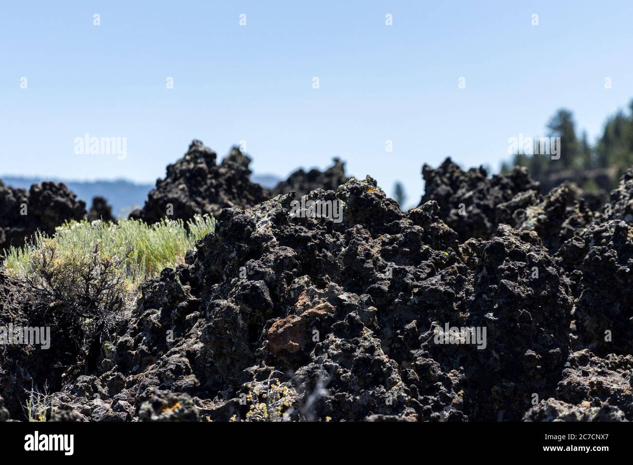 Bubbly textured volcanic rock peaks around a patch of green grass in ...