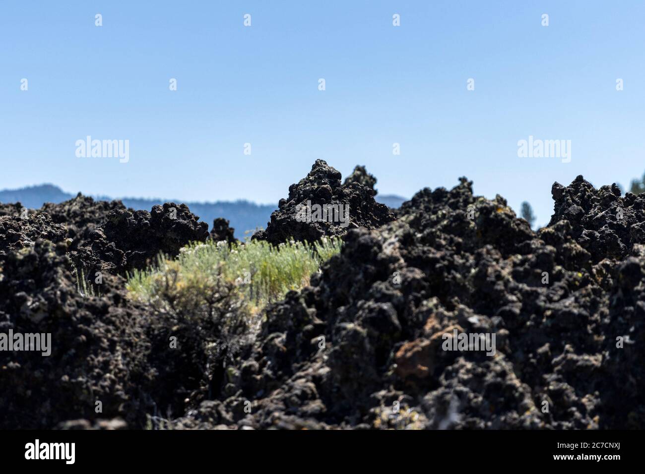 Bubbly textured volcanic rock peaks around a patch of green grass in ...