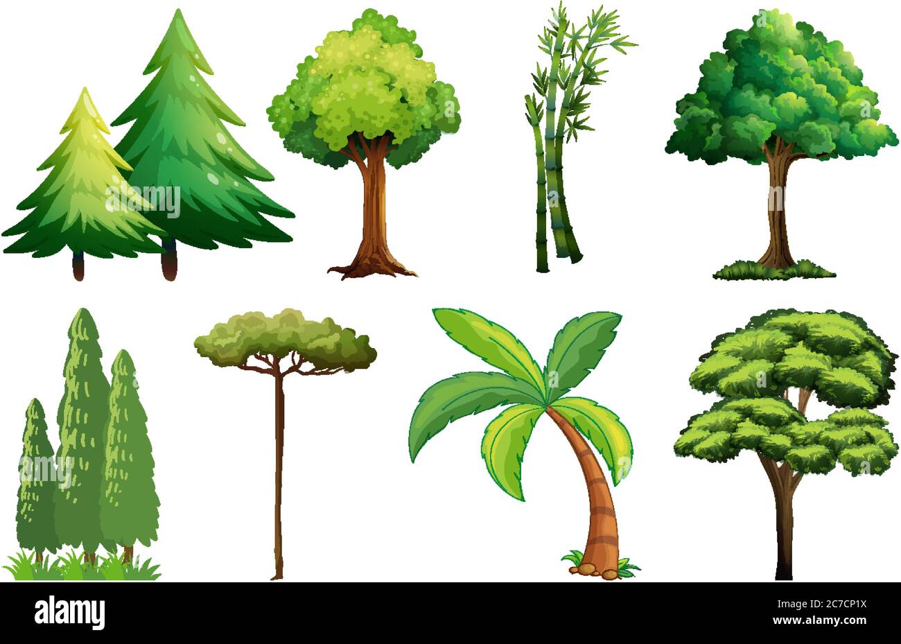 Set of different tree illustration Stock Vector Image & Art - Alamy
