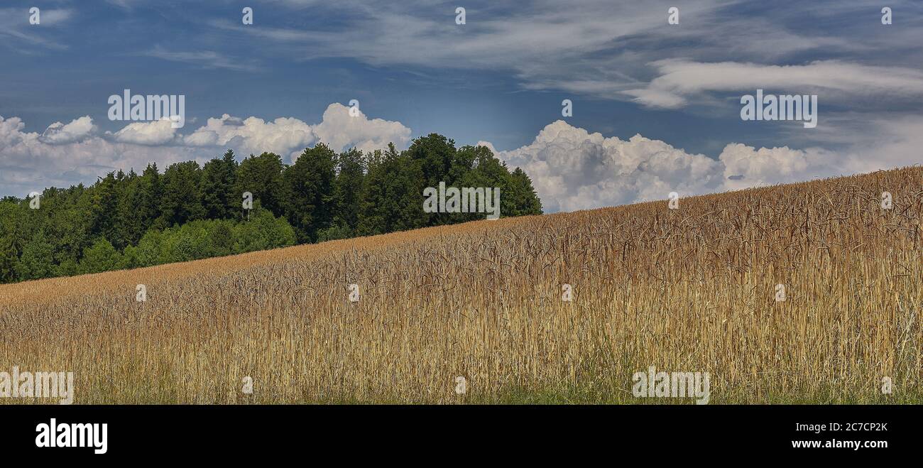 Wide shot mountain field fence hi-res stock photography and images - Alamy