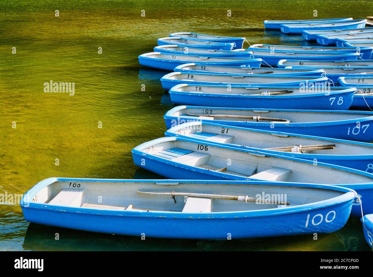 Horizontal shot of blue boats with numbers in the lake during daytime ...