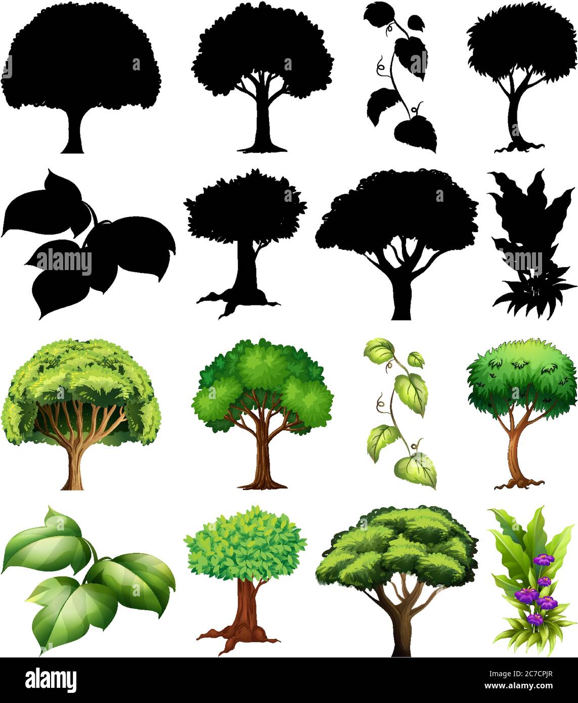Set of plant and tree with its silhouette illustration Stock Vector Image & Art - Alamy