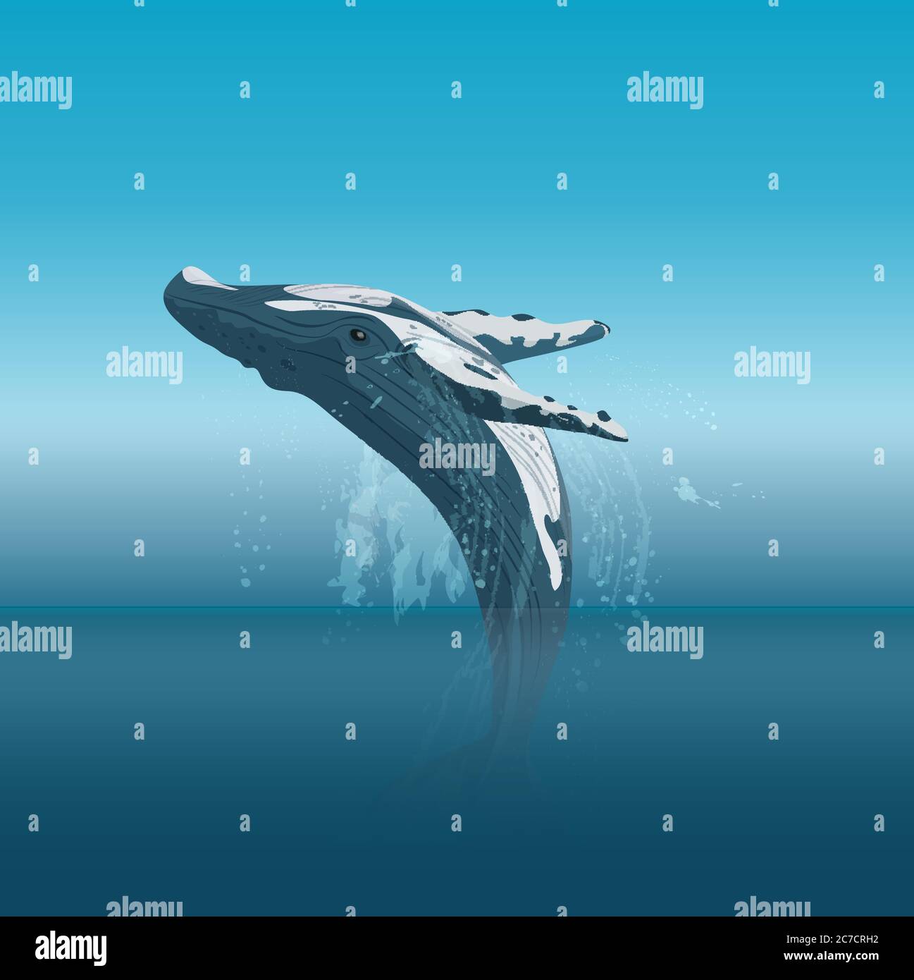 White humpback whale in sea Stock Vector Images - Alamy