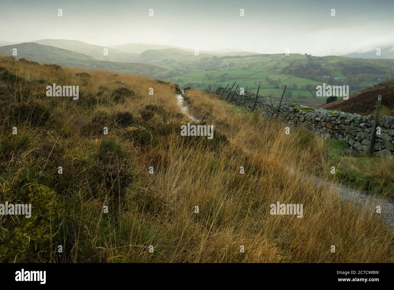 Matterdale lake district hi-res stock photography and images - Alamy