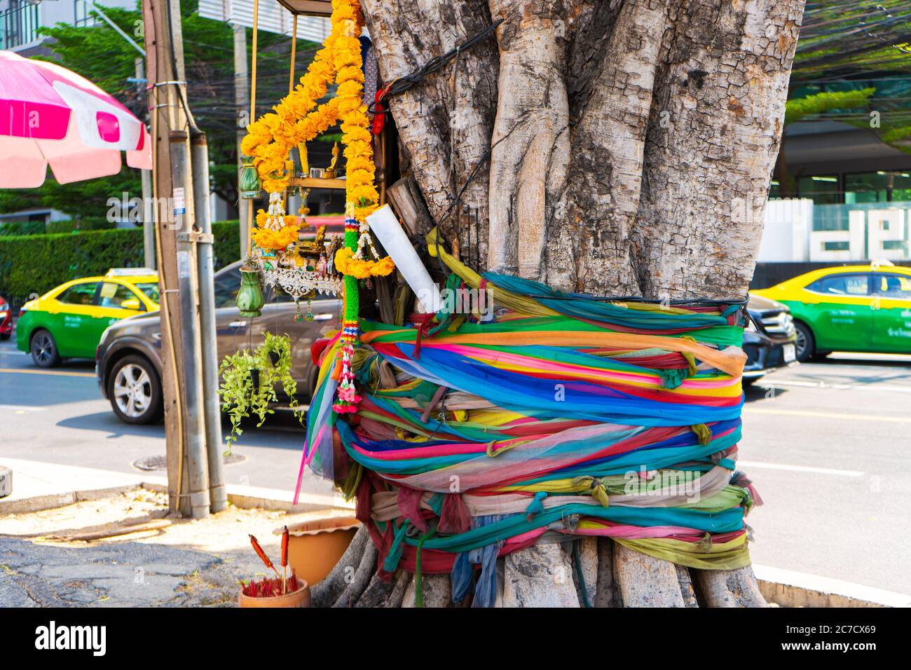 Tree tied with a ribbon. Sacred Trees and Rites in Asia Stock Photo - Alamy