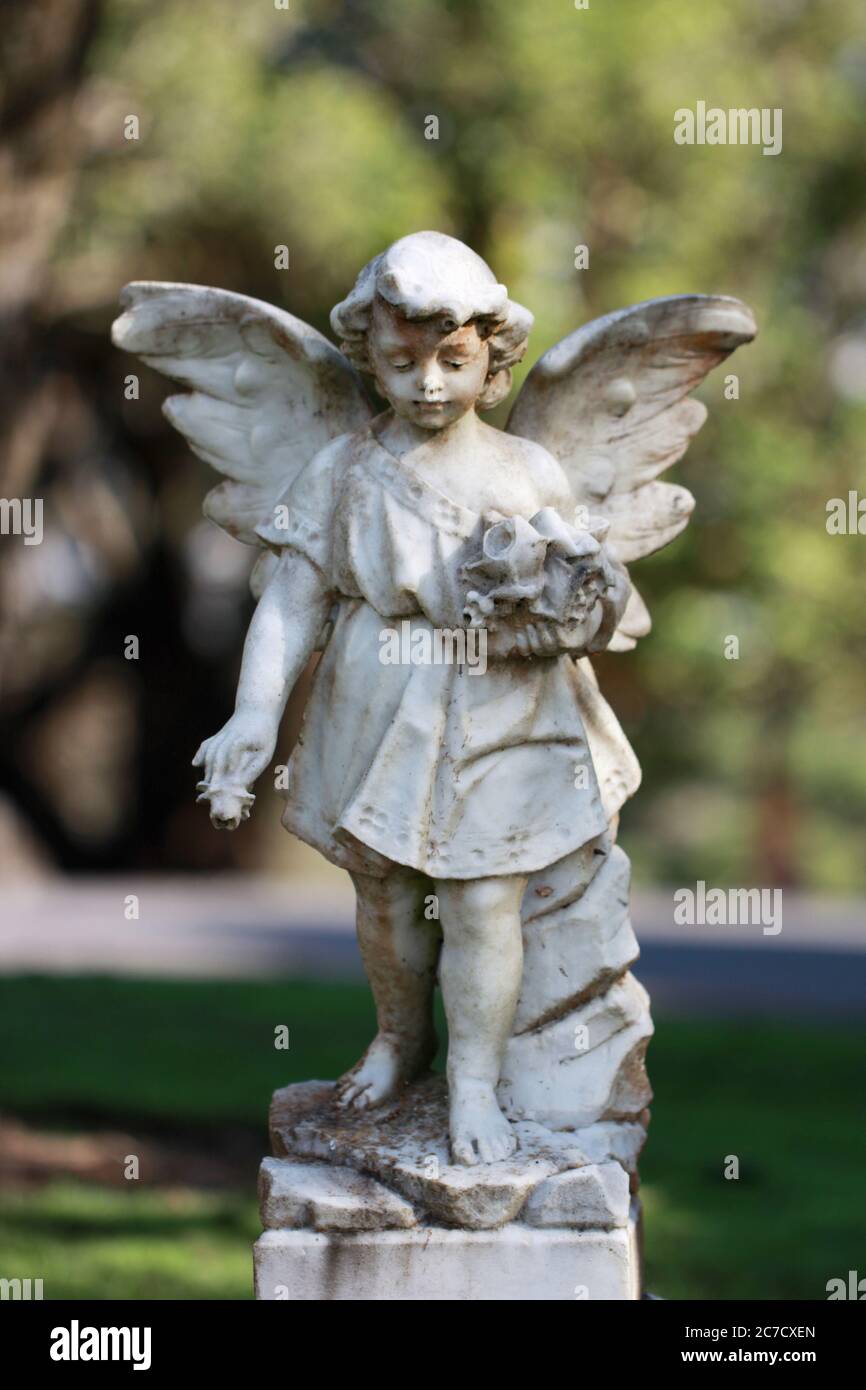 Statue of liberty blue angels hi-res stock photography and images - Alamy