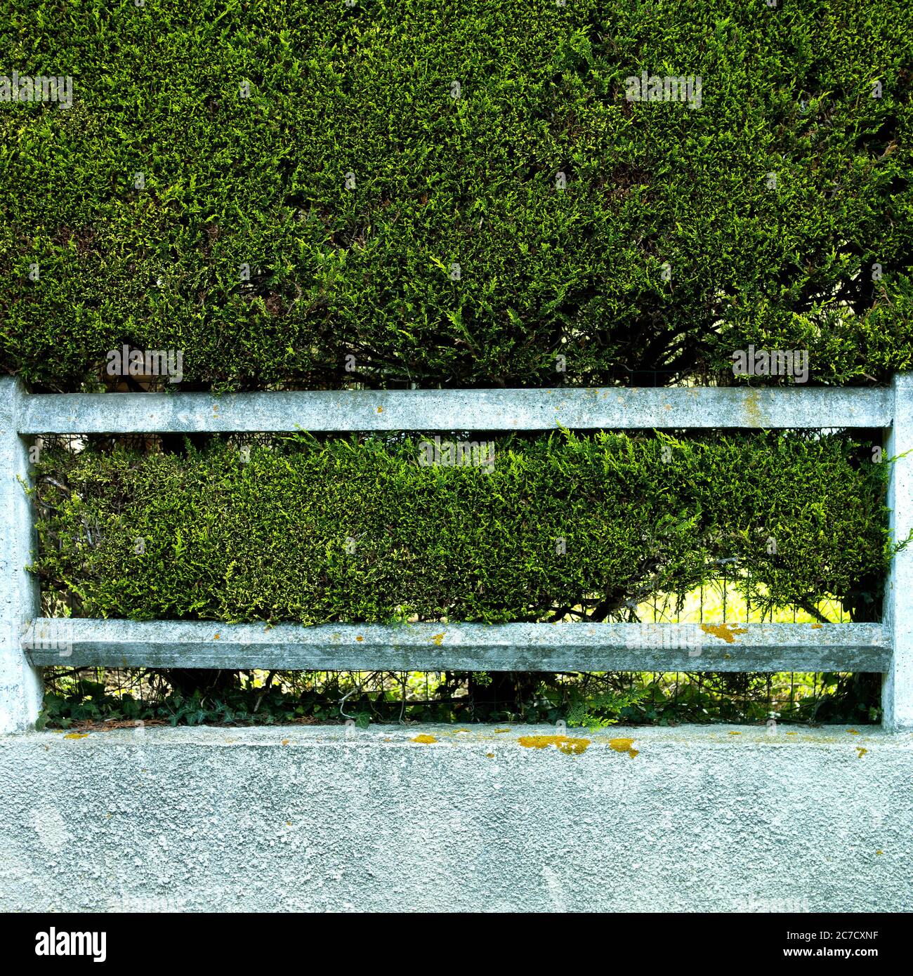 Garden hedge fence boundary hi-res stock photography and images - Alamy