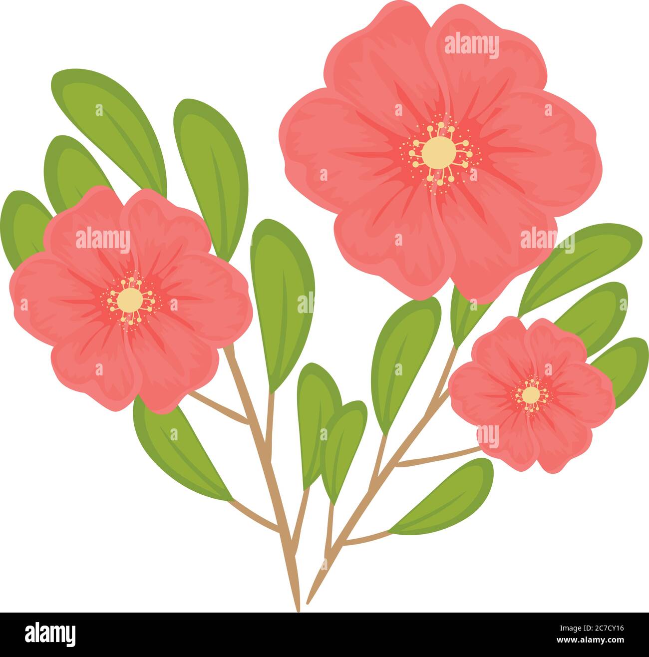 red flowers with leaves vector design Stock Vector Image & Art - Alamy