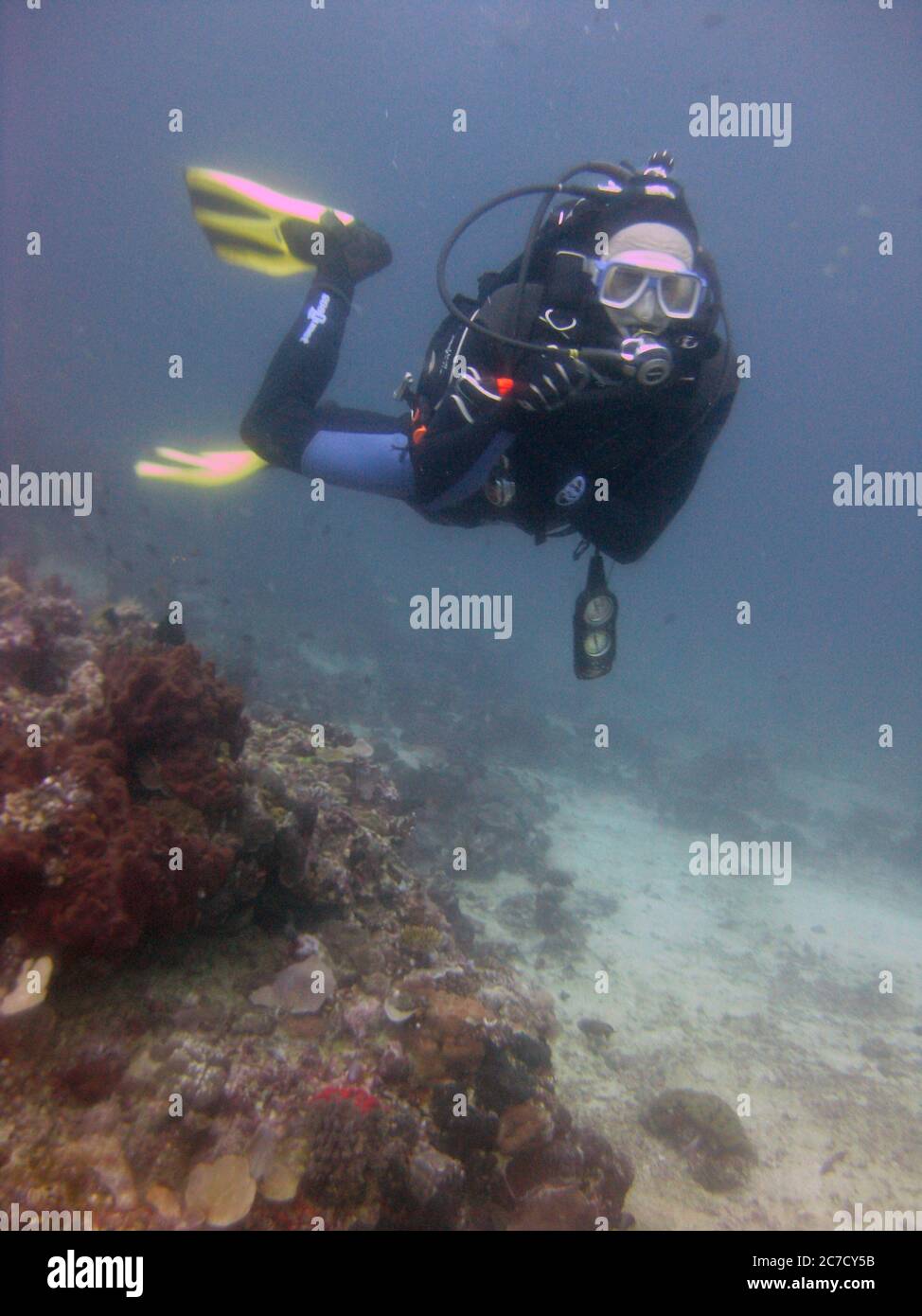 Vertical shot of a scuba diver wearing diving suit, fins and equipment ...