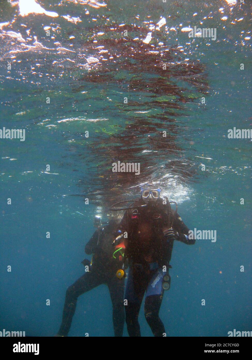 Vertical shot of a scuba diver wearing diving suit and equipment diving ...