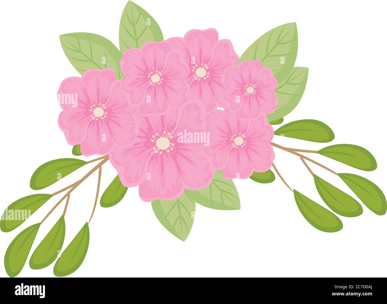 pink flowers with leaves vector design Stock Vector Image & Art - Alamy