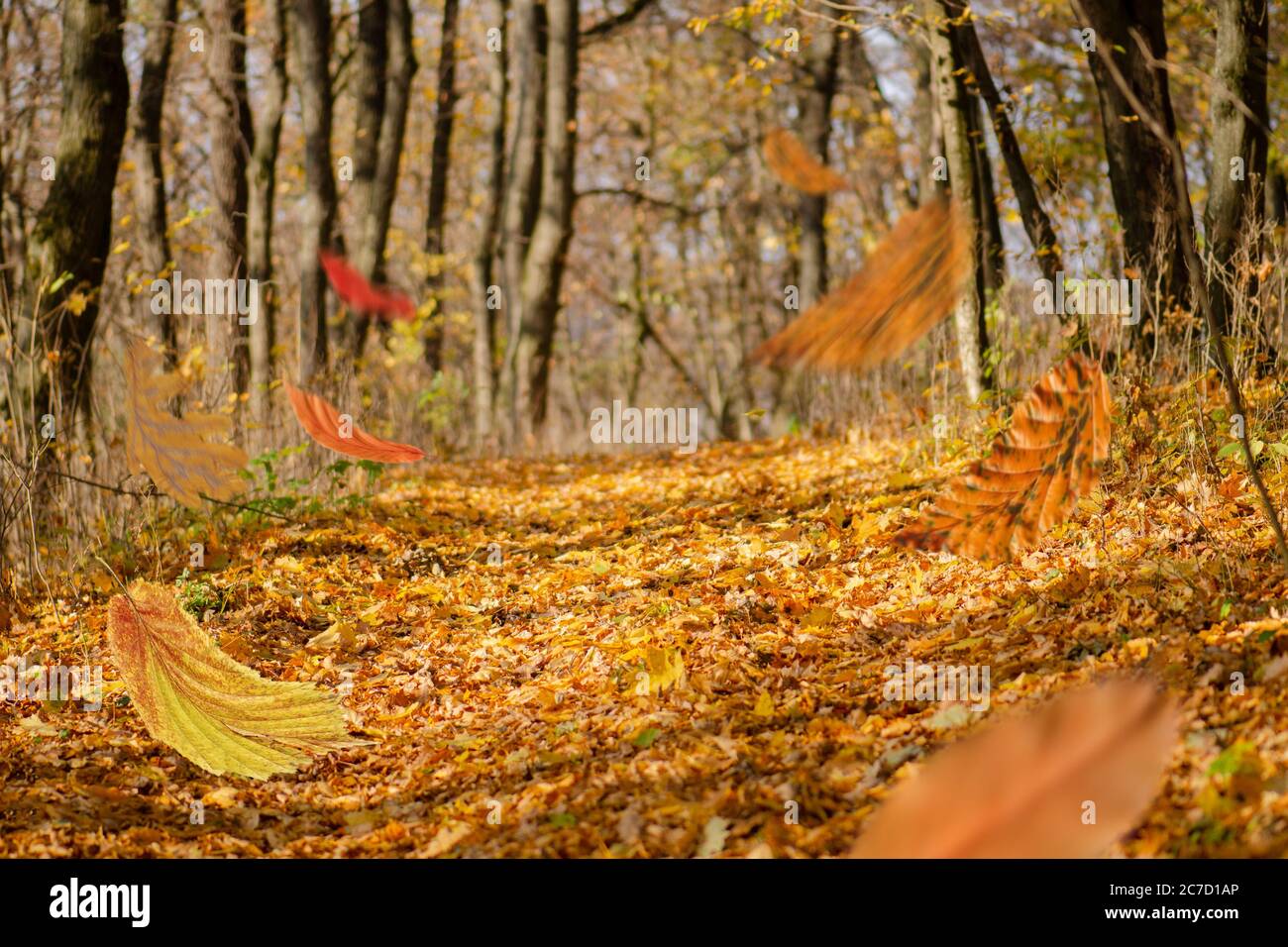 Border frame of autumn leaves falling on landscape background ...