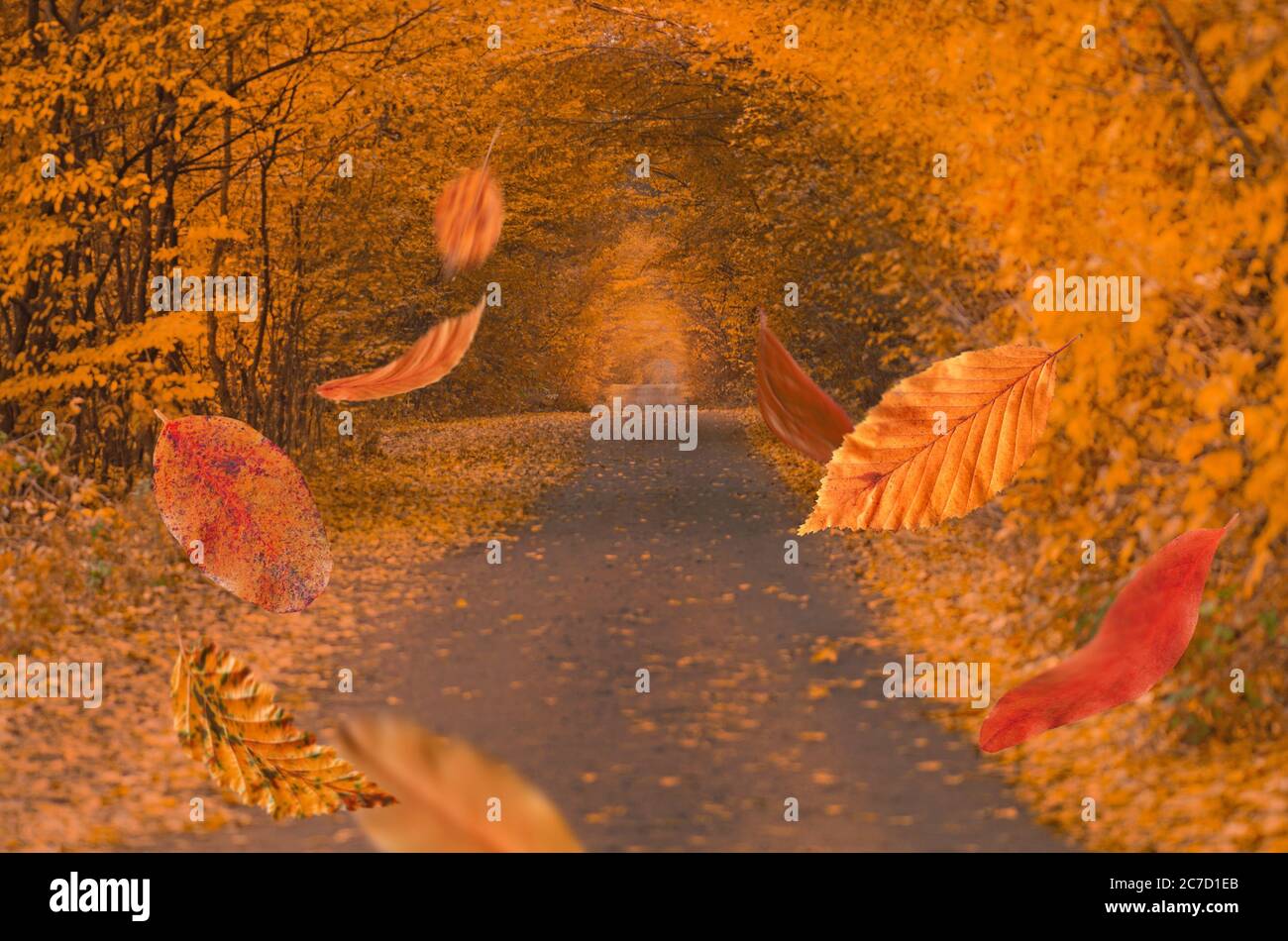 Border frame of autumn leaves falling on landscape background. Frame ...
