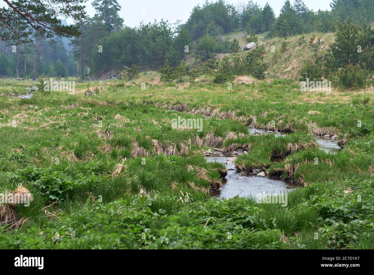 Mountain stream in spring hi-res stock photography and images - Alamy