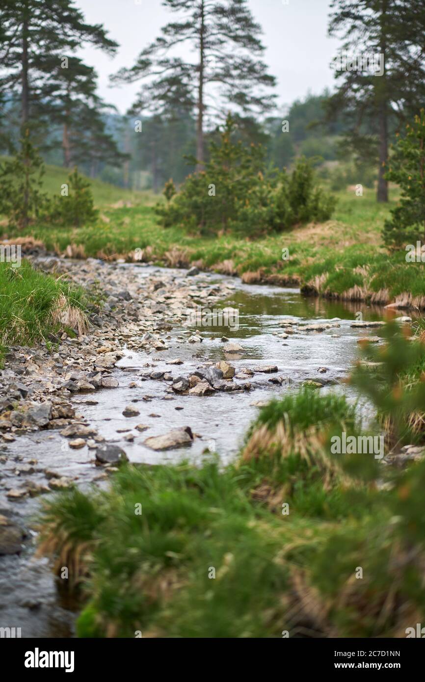 Mountain stream in spring hi-res stock photography and images - Alamy