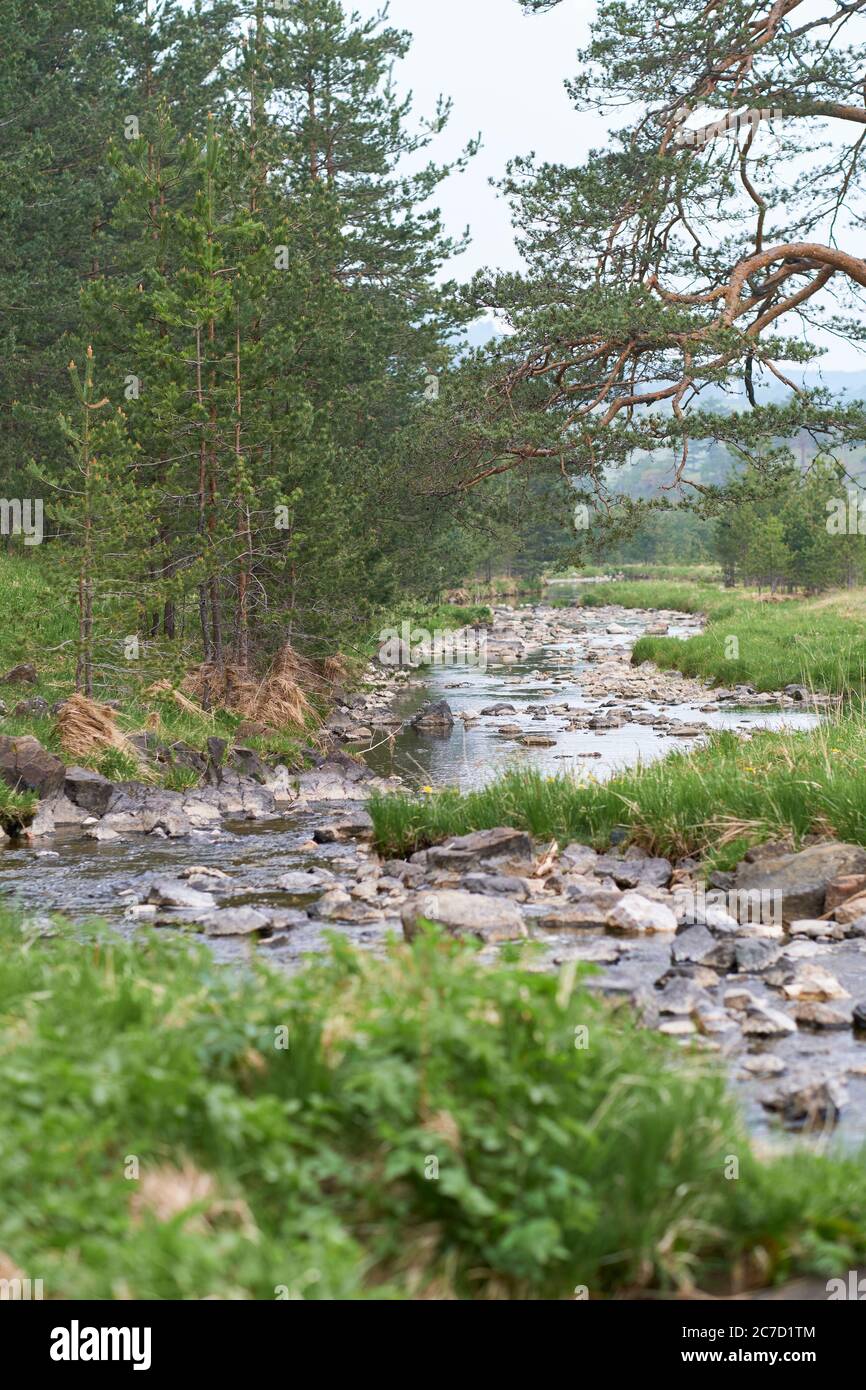 Mountain stream in spring hi-res stock photography and images - Alamy