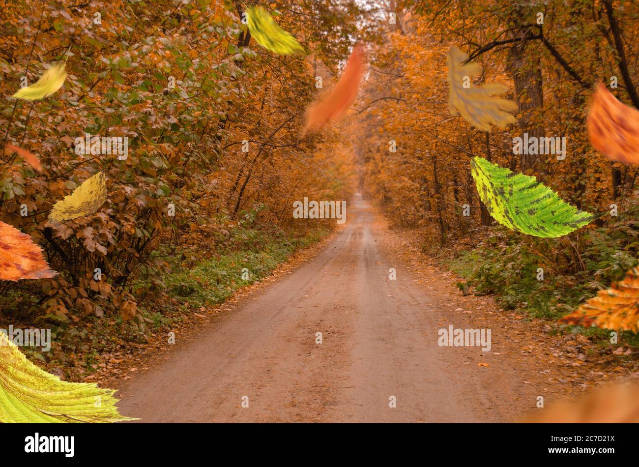 Border frame of autumn leaves falling on landscape background. Frame ...