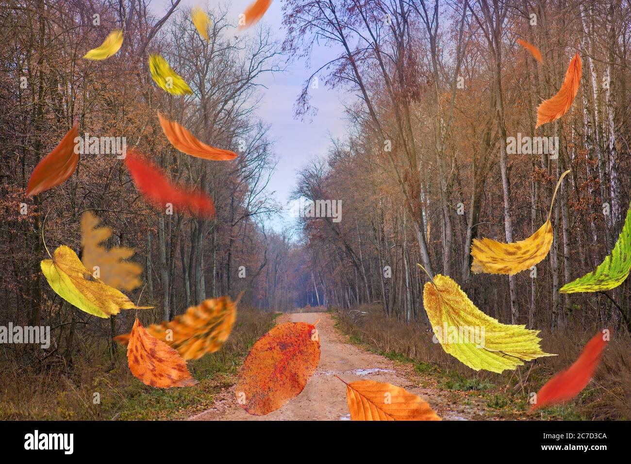 Border frame of autumn leaves falling on landscape background ...